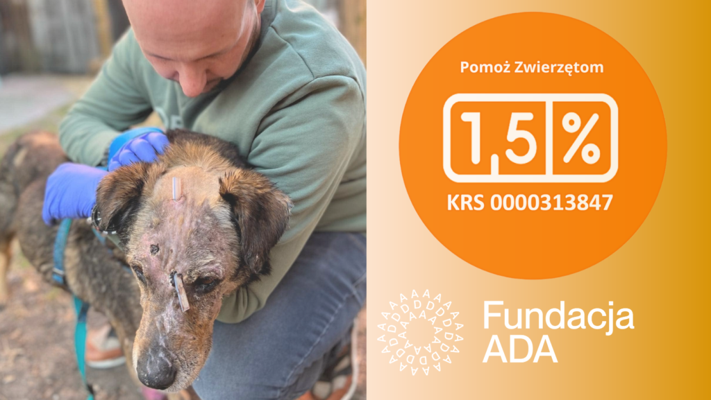 Aktualności - Fundacja ADA